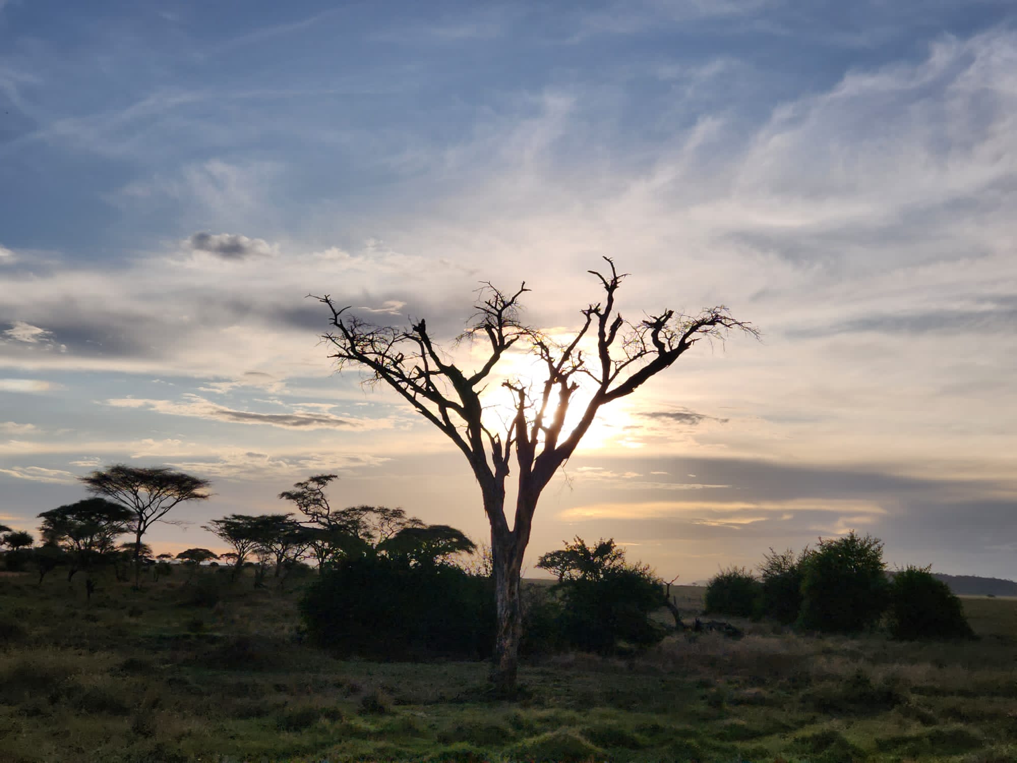 Tanzania and Fire of Genius for the Holidays – David J. Kent